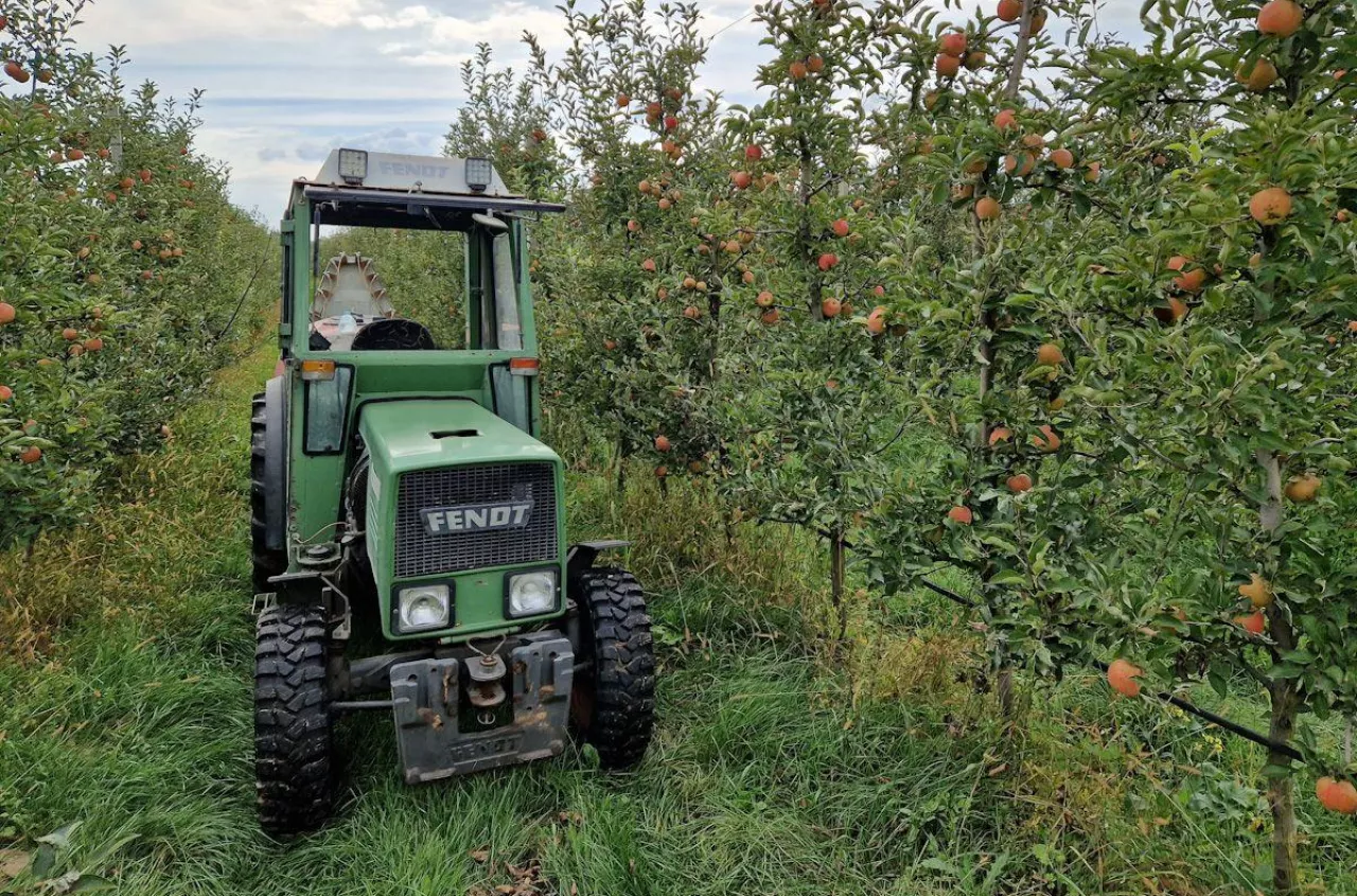Auchan z grantami dla rolników z Ukrainy: pomoc symboliczna, ale głośna ...